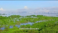 生态环境部发布2021年“全国低碳日”主题宣传片