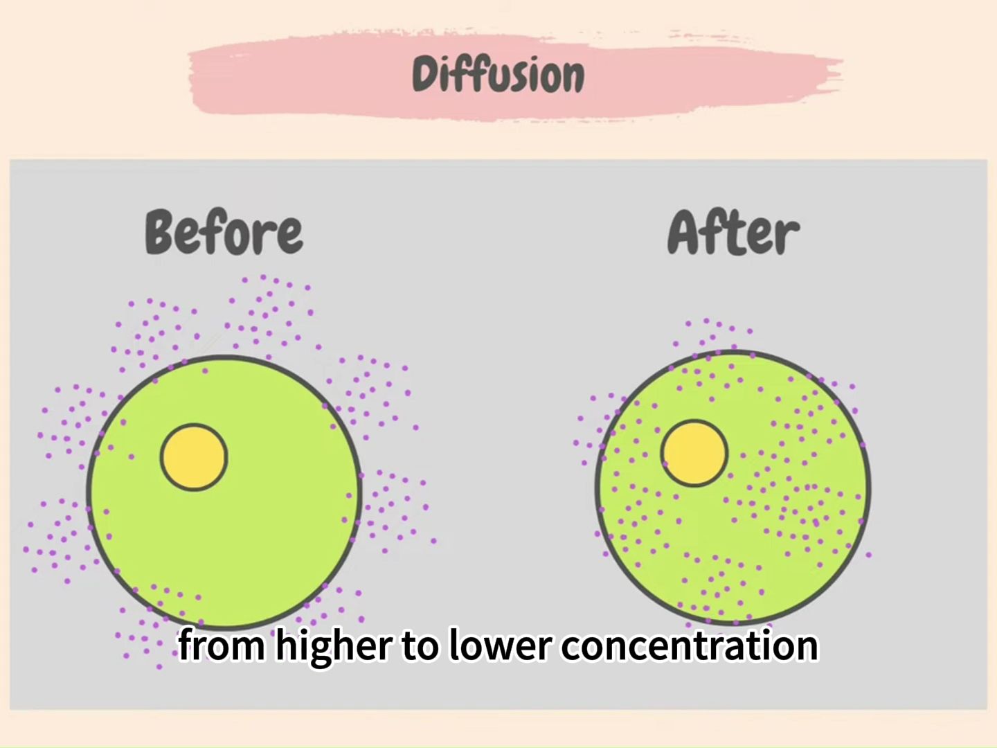 进出细胞的运动