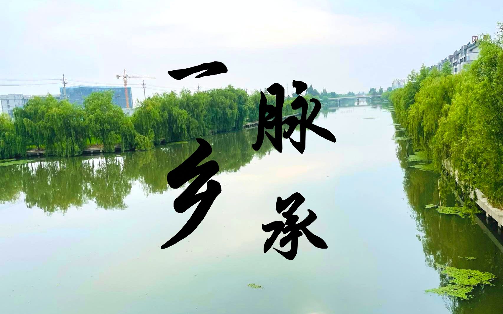 【暑期社会实践】华东理工大学一脉“乡”承社会实践成果展示