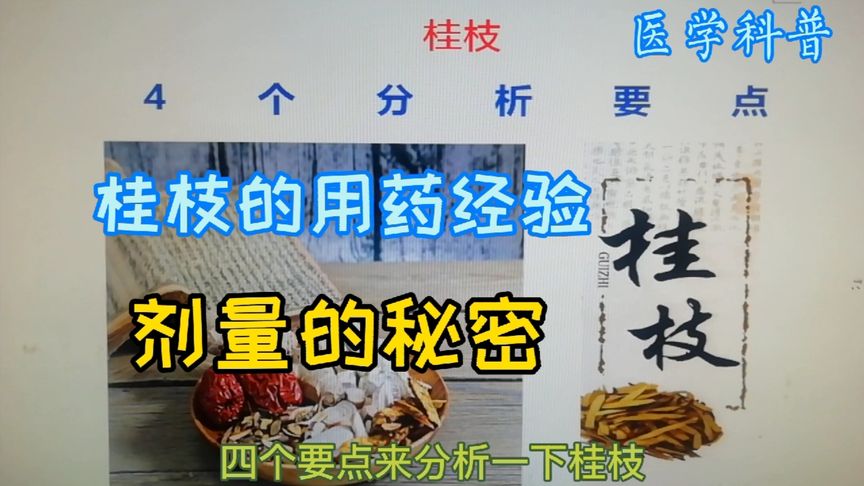 浅谈中药桂枝用药经验及剂量秘密,这4个要点分析桂枝,传承经典