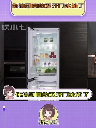 你搞到真的双开门冰箱了!!#双开门冰箱 #真实 #震惊