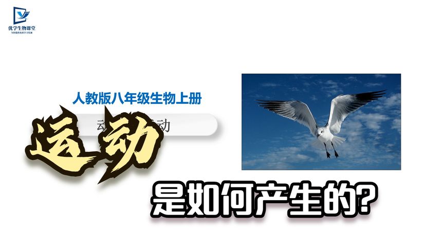 哺乳动物运动系统由几部分构成?运动如何产生?尽靠运动系统吗?