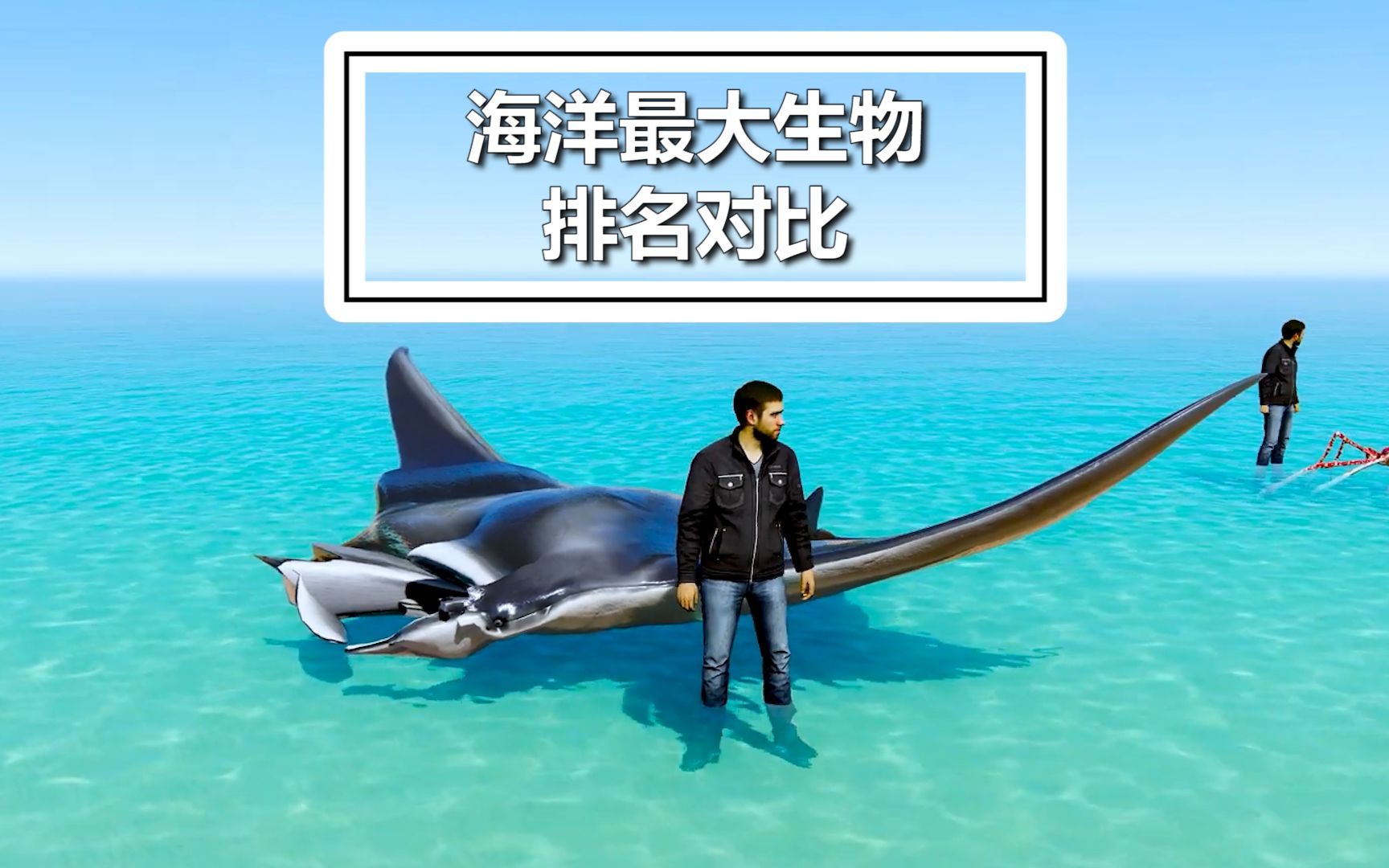 海洋中最大的生物 体型大小排名对比