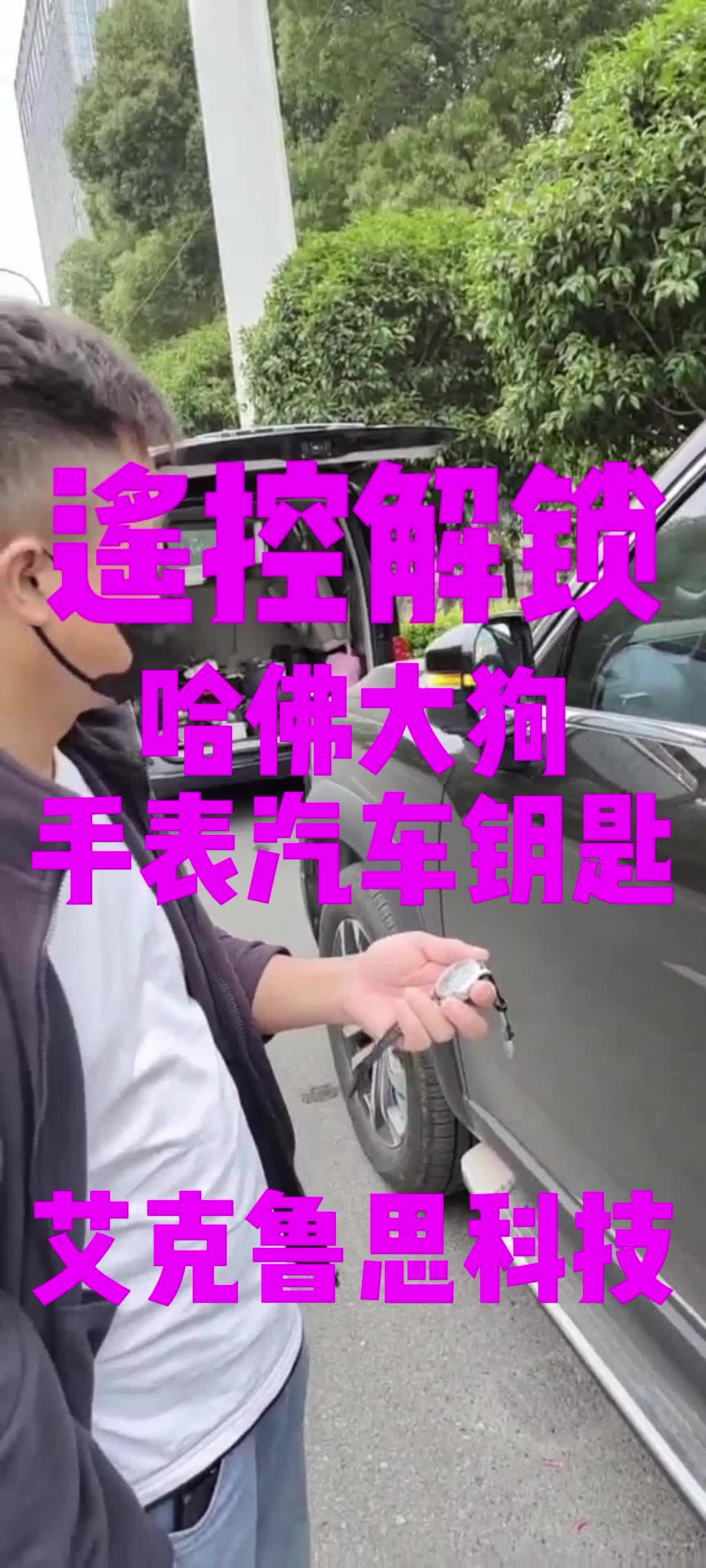 长城哈弗大狗2022款手表汽车钥匙