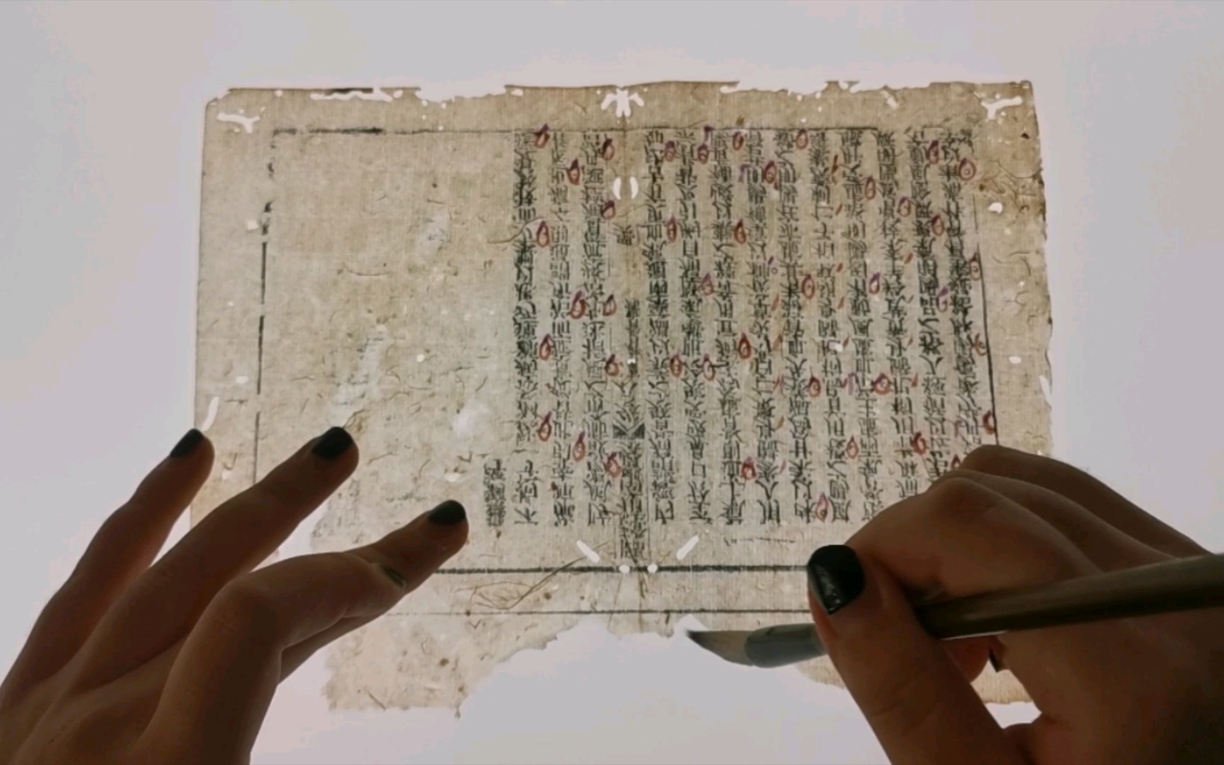 修复破损的书页|古籍修复第一视角