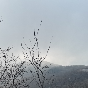 水清濯吾缨 