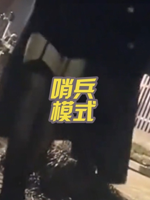 哨兵模式可以在车辆遭到破坏时留下更关键证据