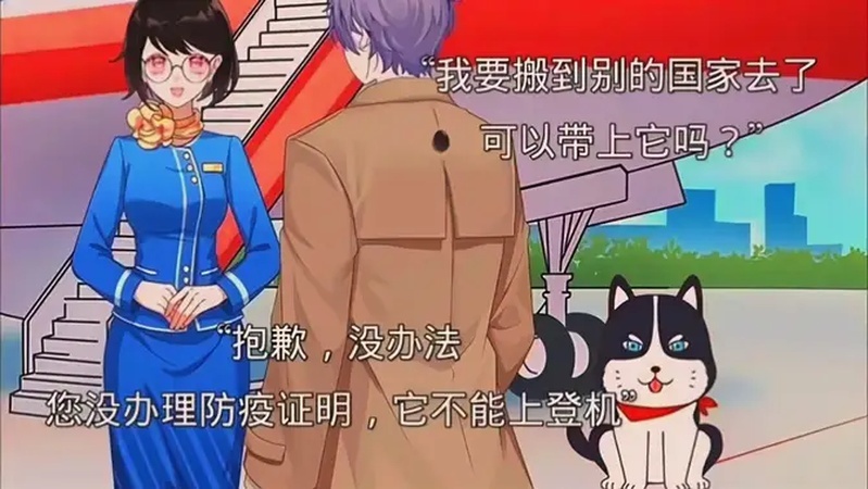 先生飞机上面不可以带宠物的
