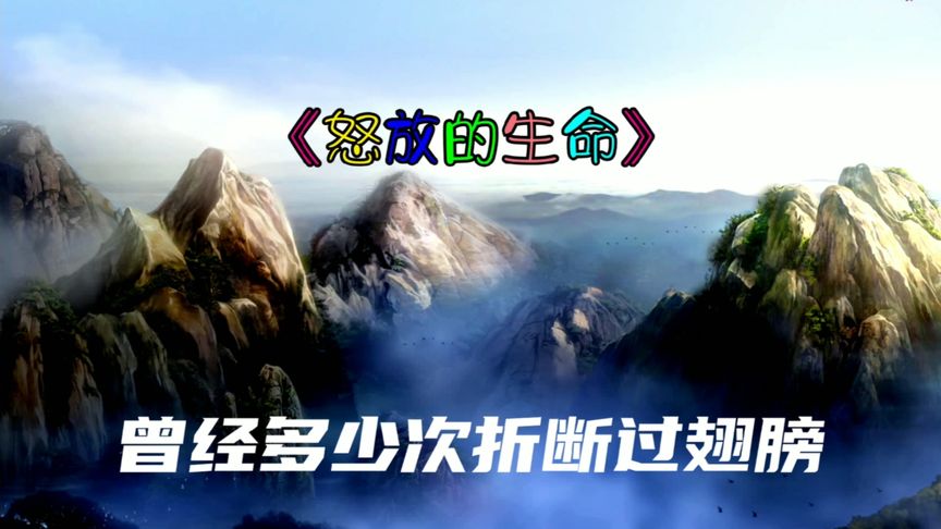 《怒放的生命》金典回顾