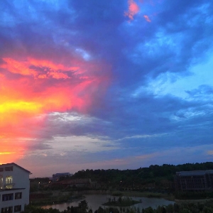 wisdom威滋顿 