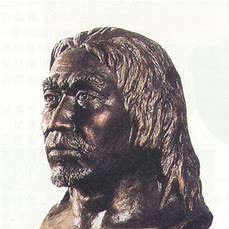 灵长目人科人属智人种 