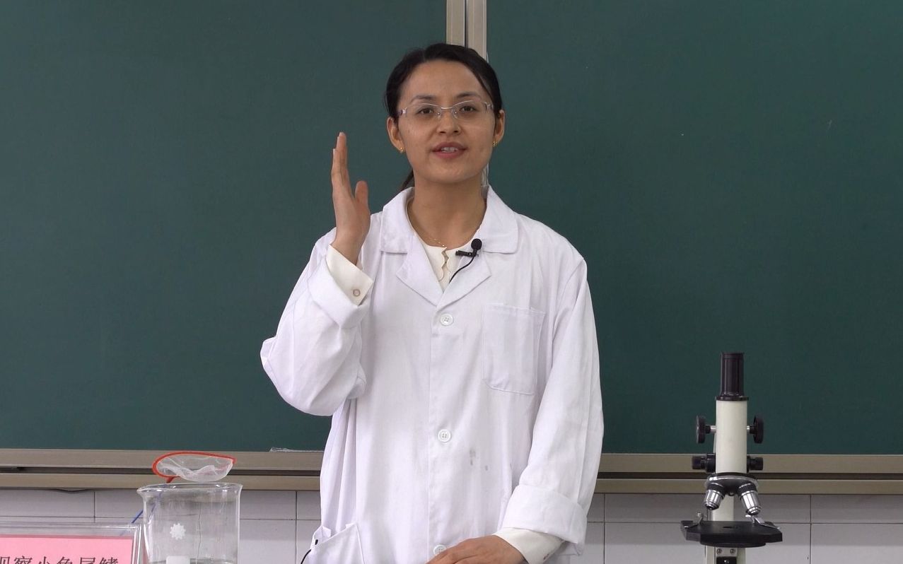 初中生物学中考实验操作演示 - 观察小鱼尾鳍的血液流动