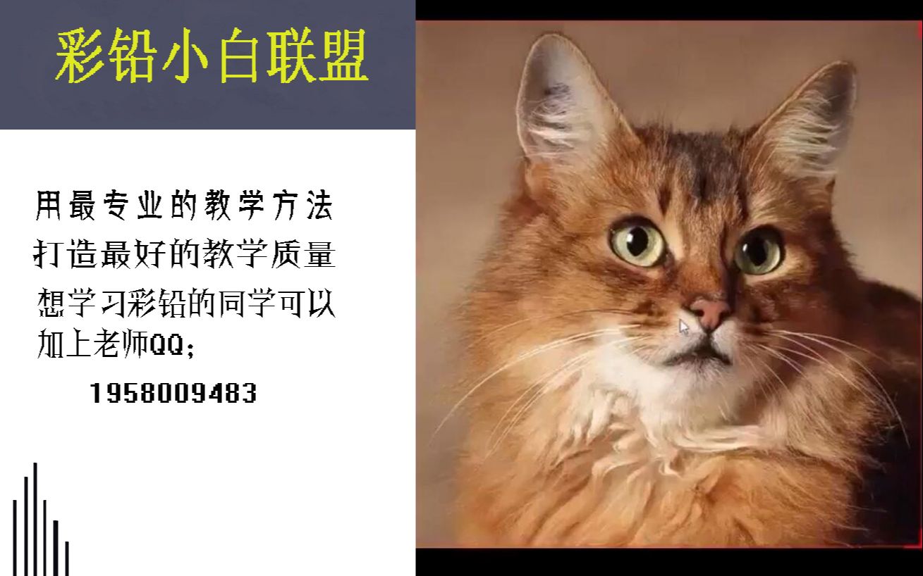 【彩铅小白】日常练习线条,动物毛发质感表现‘’小猫‘’