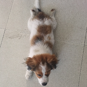 背后有人笑 