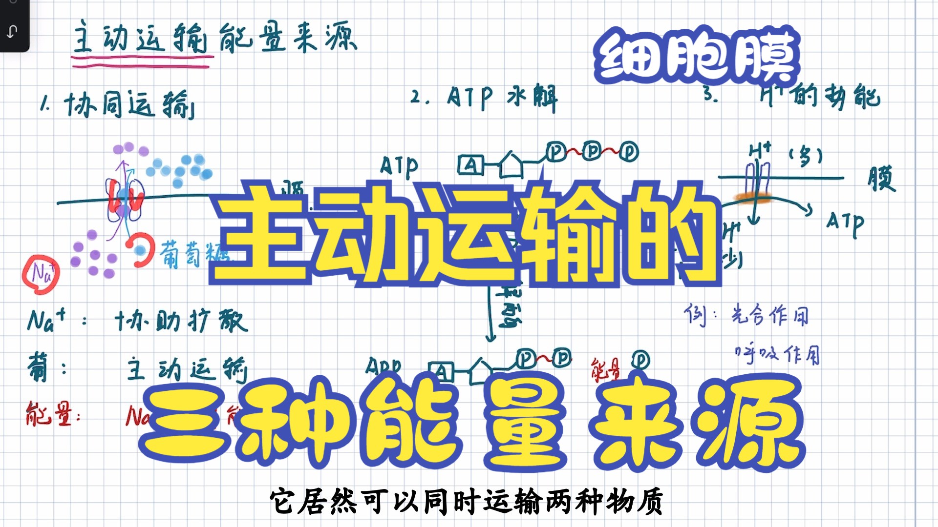 细胞膜---主动运输的能量来源