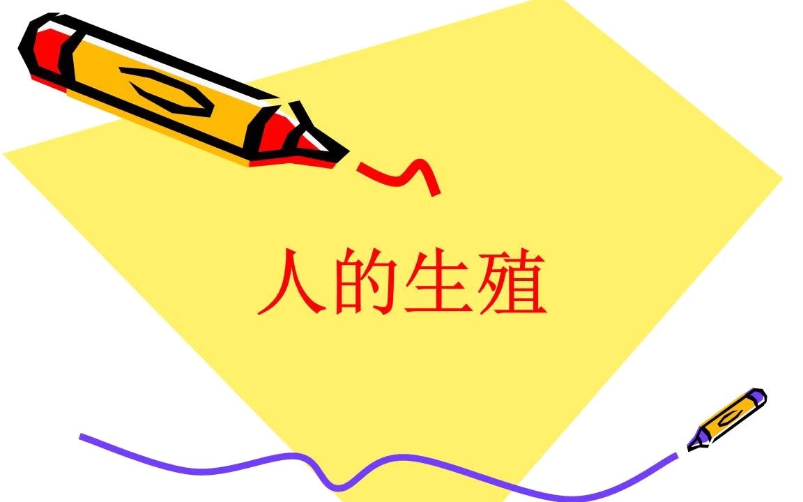 七下生物 第一章第二节 人的生殖