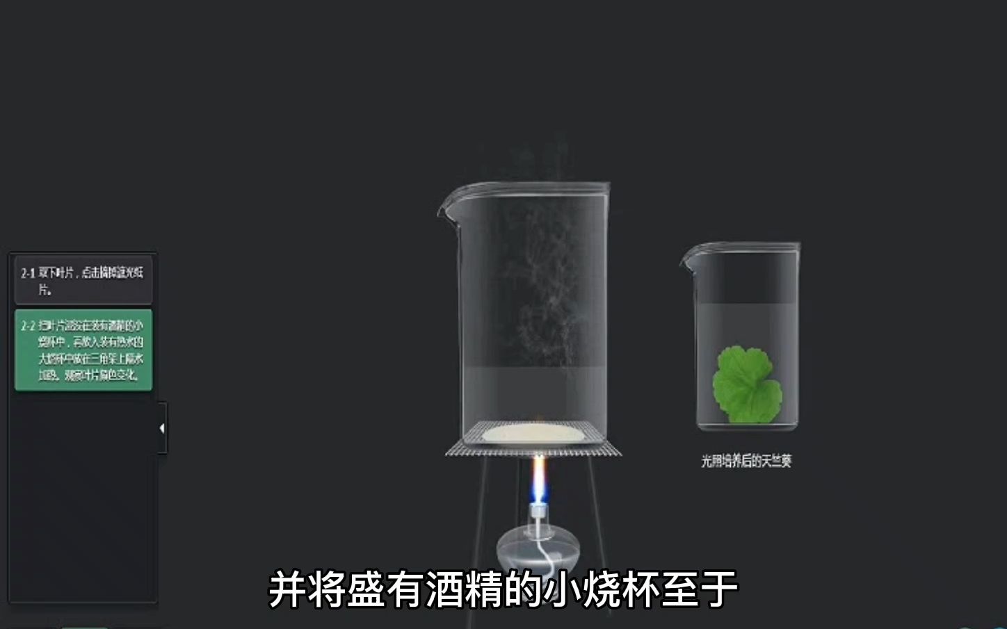 【初中生物精品课例】绿色植物光合作用