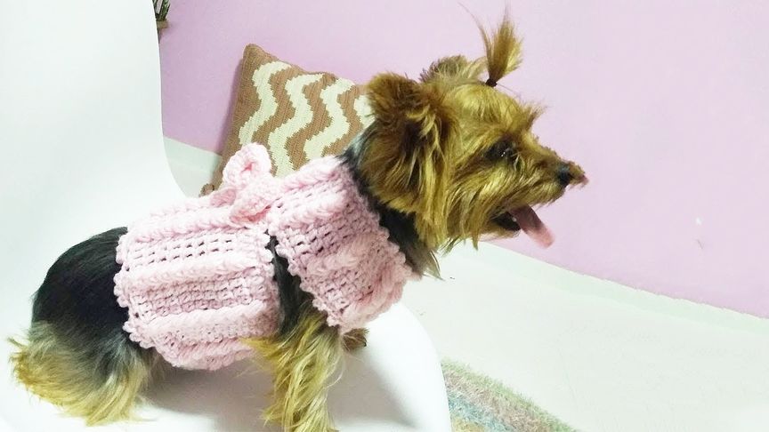「时尚针织」可爱的宠物狗狗衣服
