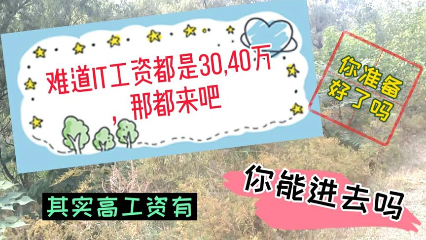 IT工资30,40万肯定有的,关键你能进去吗?还有你能干35岁吗,难