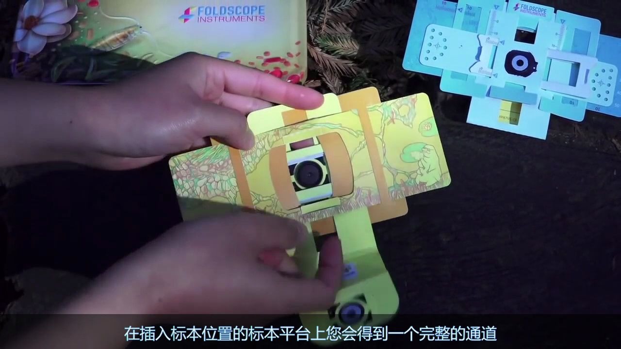 教程2:如何进行标本观察