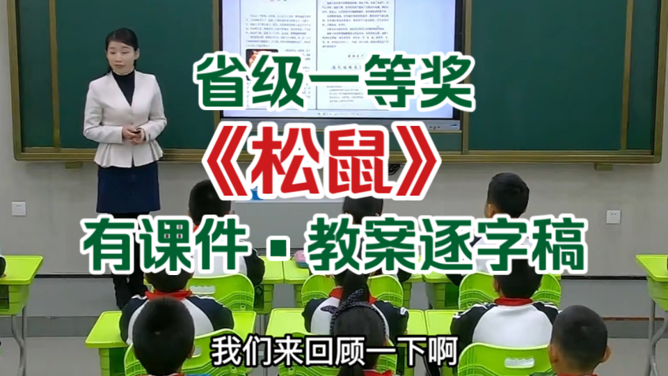 《松鼠》 优质课示范课公开课 【省级一等奖】