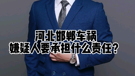 邯郸交通肇事案应承担什么责任?#法律咨询 #邯郸律师 #可爸说法 #...