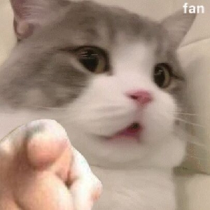 灼眼的丸子 
