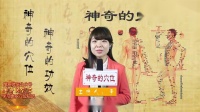 足阳明胃经、气冲穴《治疗妇科性疾病、男子阳痿》