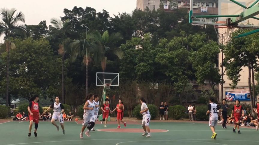 小姐姐参观广东财经大学,感受当代大学生的校园生活,做学生好幸福