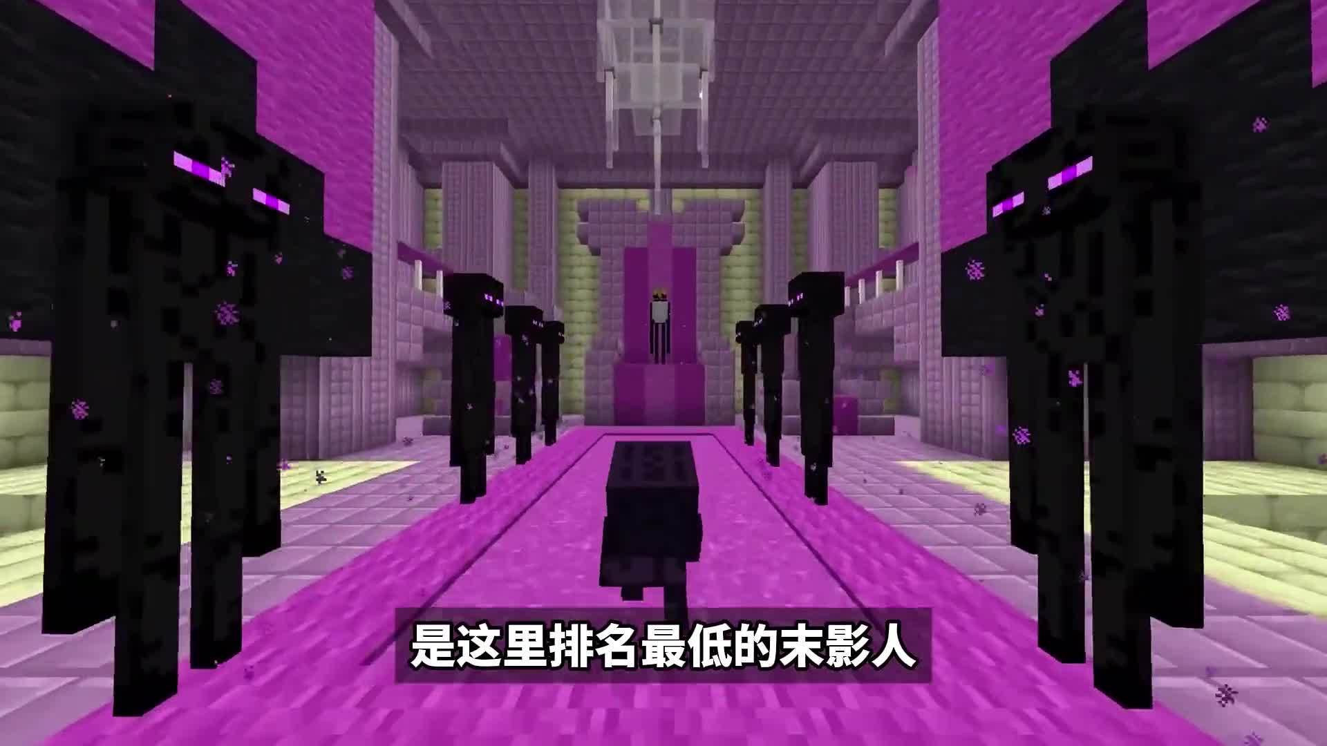 我的世界:夺回末影人文明之战