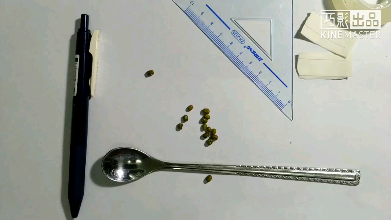 种子发芽实验(1)绿豆发芽与水的关系,以及材料处理
