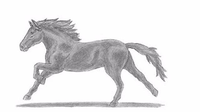 简笔画教程：2分钟教你画一匹马，超简单！