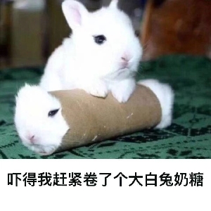 种花家的玉兔_12138 