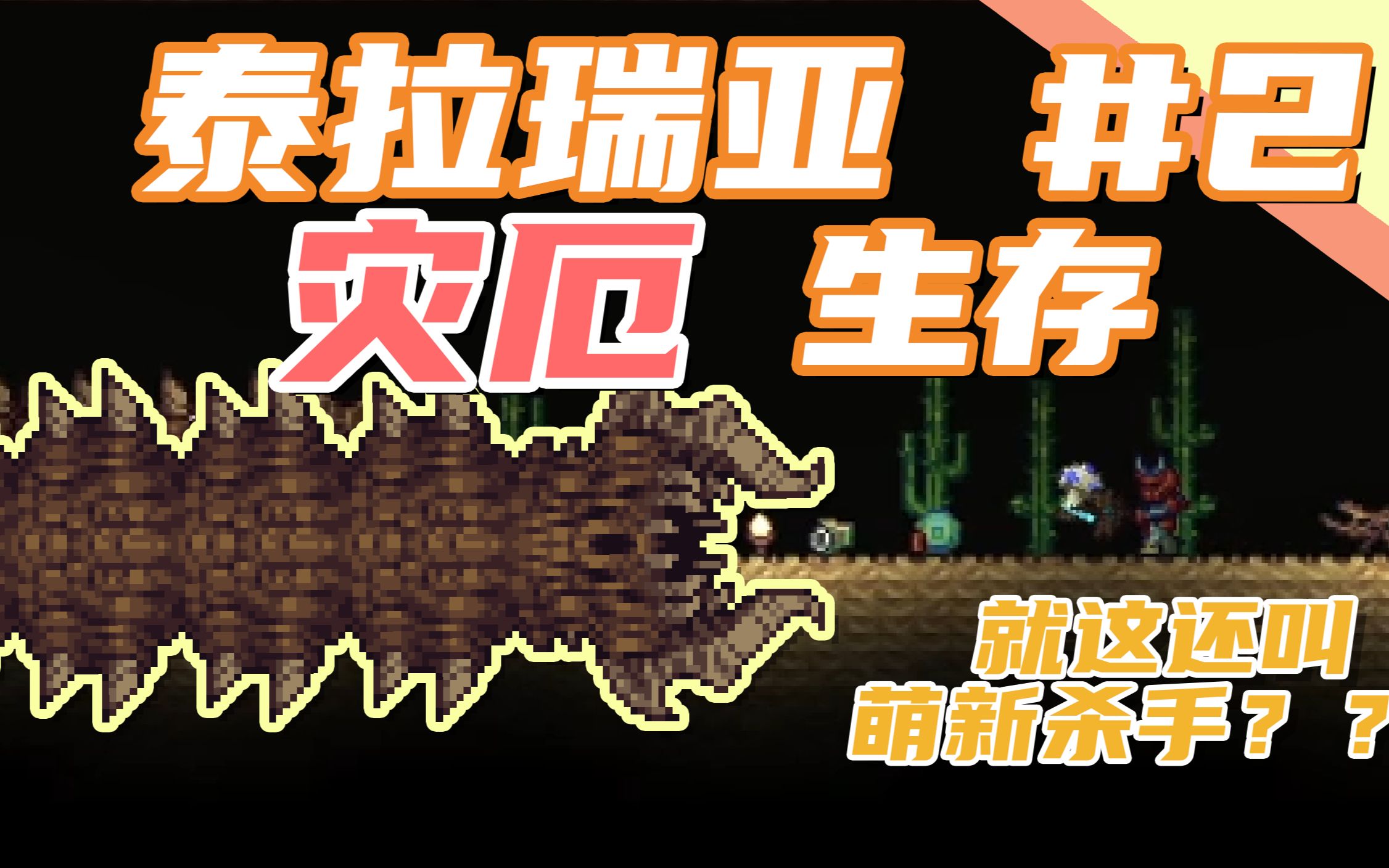 你管这叫萌新杀手? 泰拉瑞亚灾厄生存 EP2