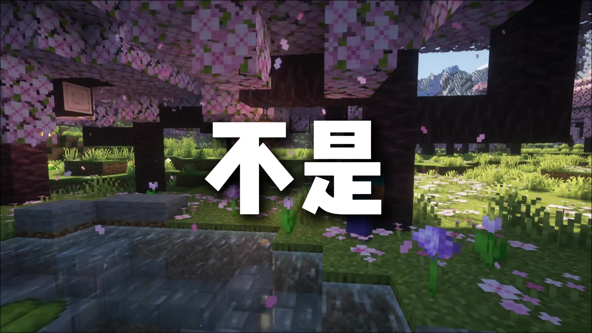 网易我的世界你是M吗?非得找骂?打压免费模组 给方块出皮肤! #我的...