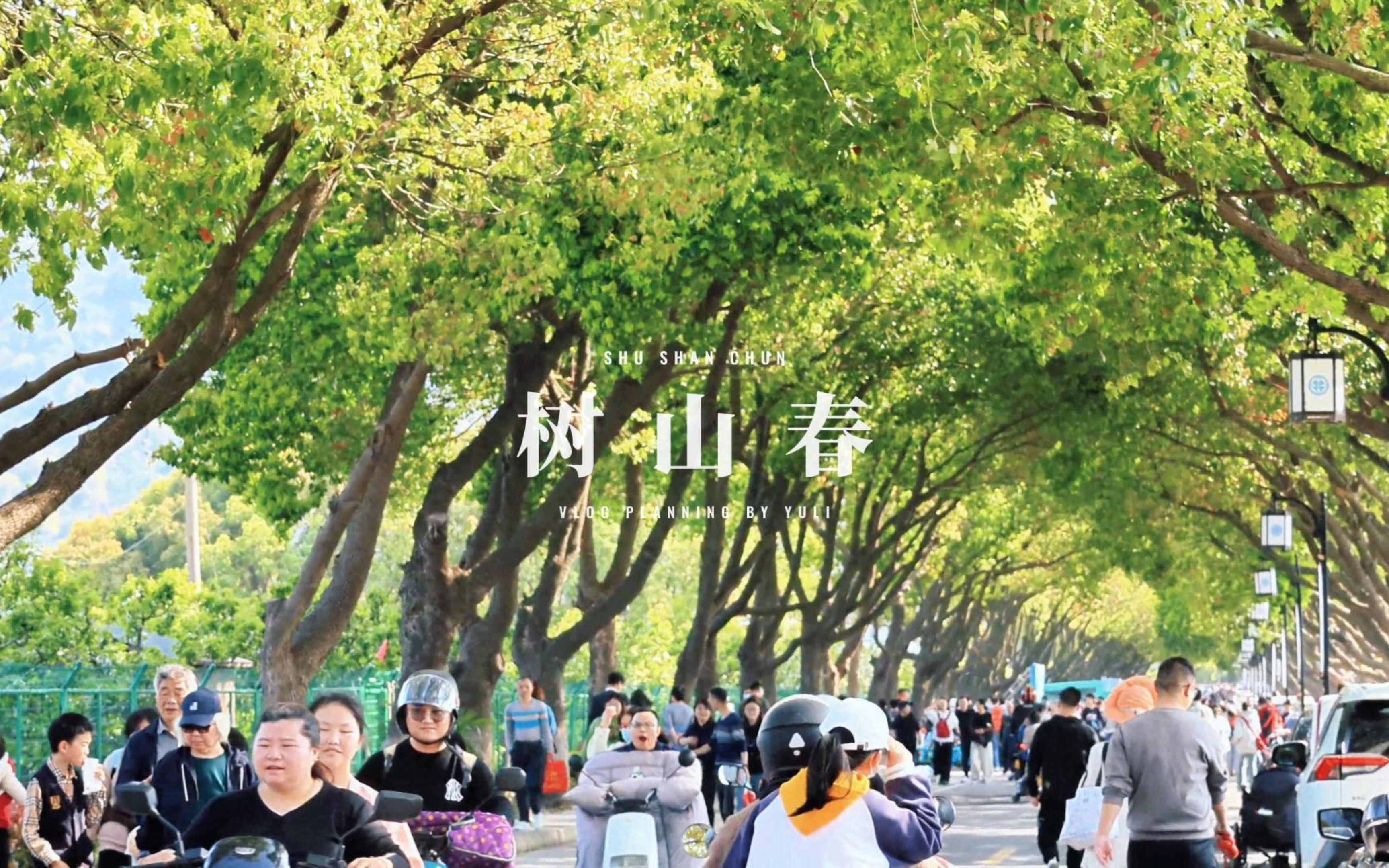 走一趟春天的树山路,听一听万物生长的声音