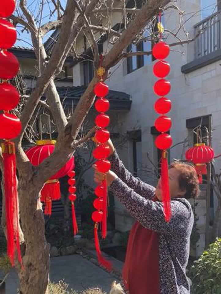 今天是一年中最安逸的一天,所有的事情都安排好了,所有的店铺今天也...
