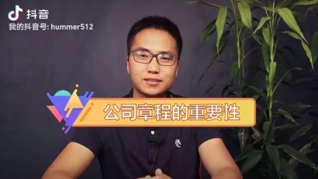 公司章程是公司的“宪法”,是公司治理的重要依据,不能简单套用