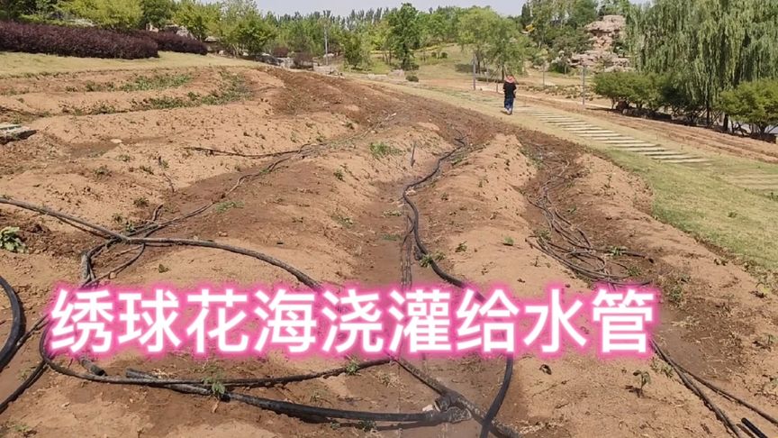 公园花海浇灌系统年久失修,重新热熔PE给水管,大热天的给点支持
