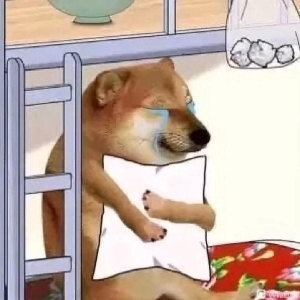 小镇青年自救指北 