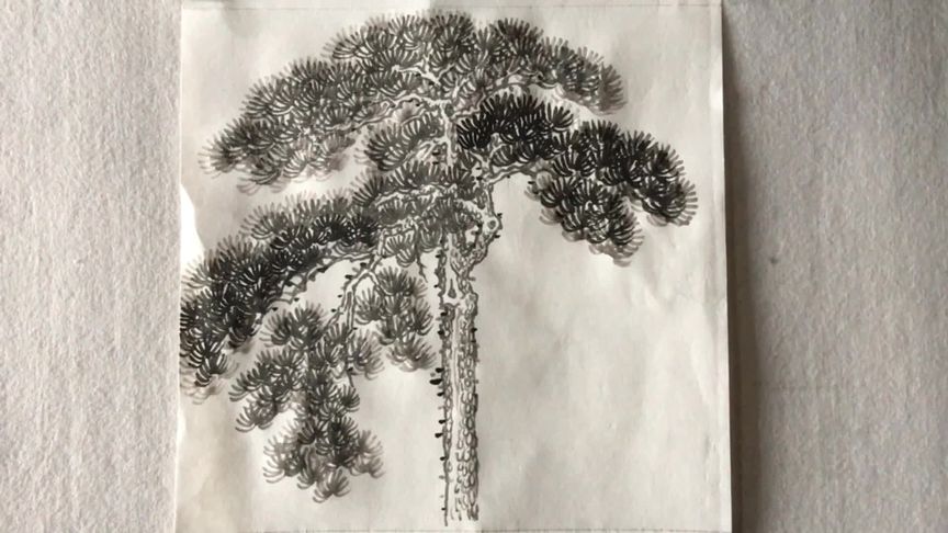 国画入门教学:松树画法步骤示范