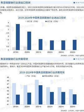 2025年中国焦亚硫酸钠行业深度研究报告:市场需求及投资风险 #市场...