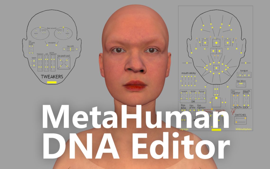 MetaHuman DNA Editor Prototype