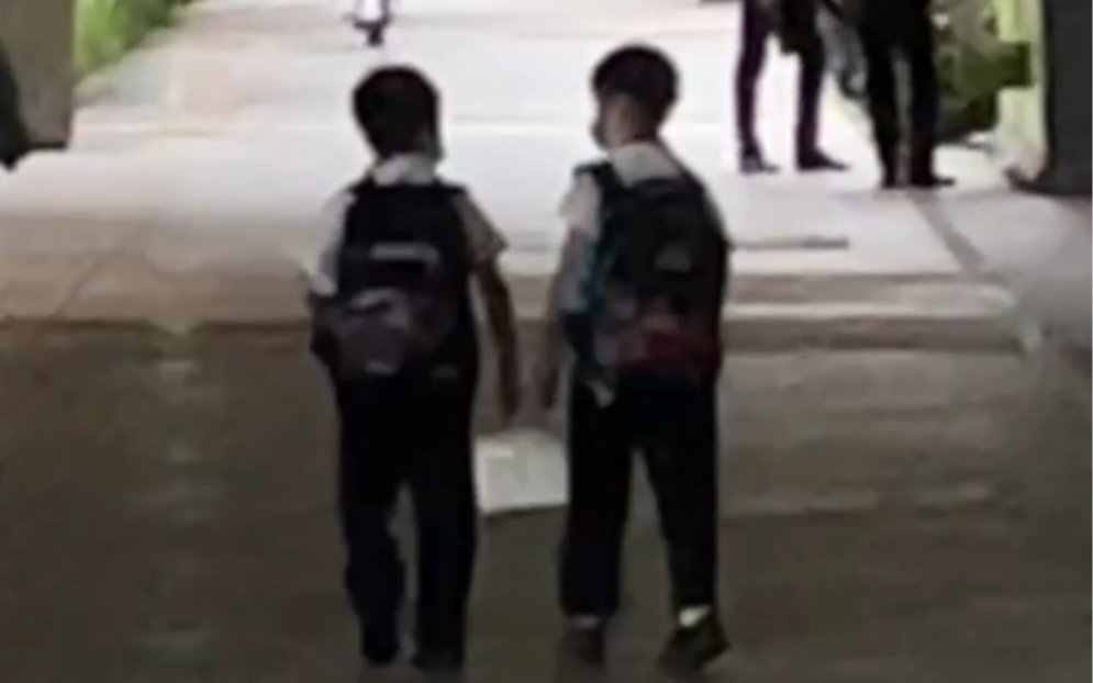 ...好 小学生的友情 互帮互助的可爱人类幼崽 人间邂逅集 人类观察日记