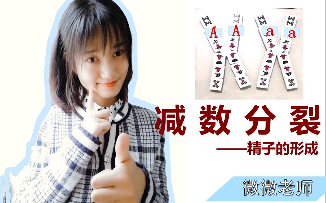 【高考生物】减数分裂过程图,几张麻将教你轻松学会