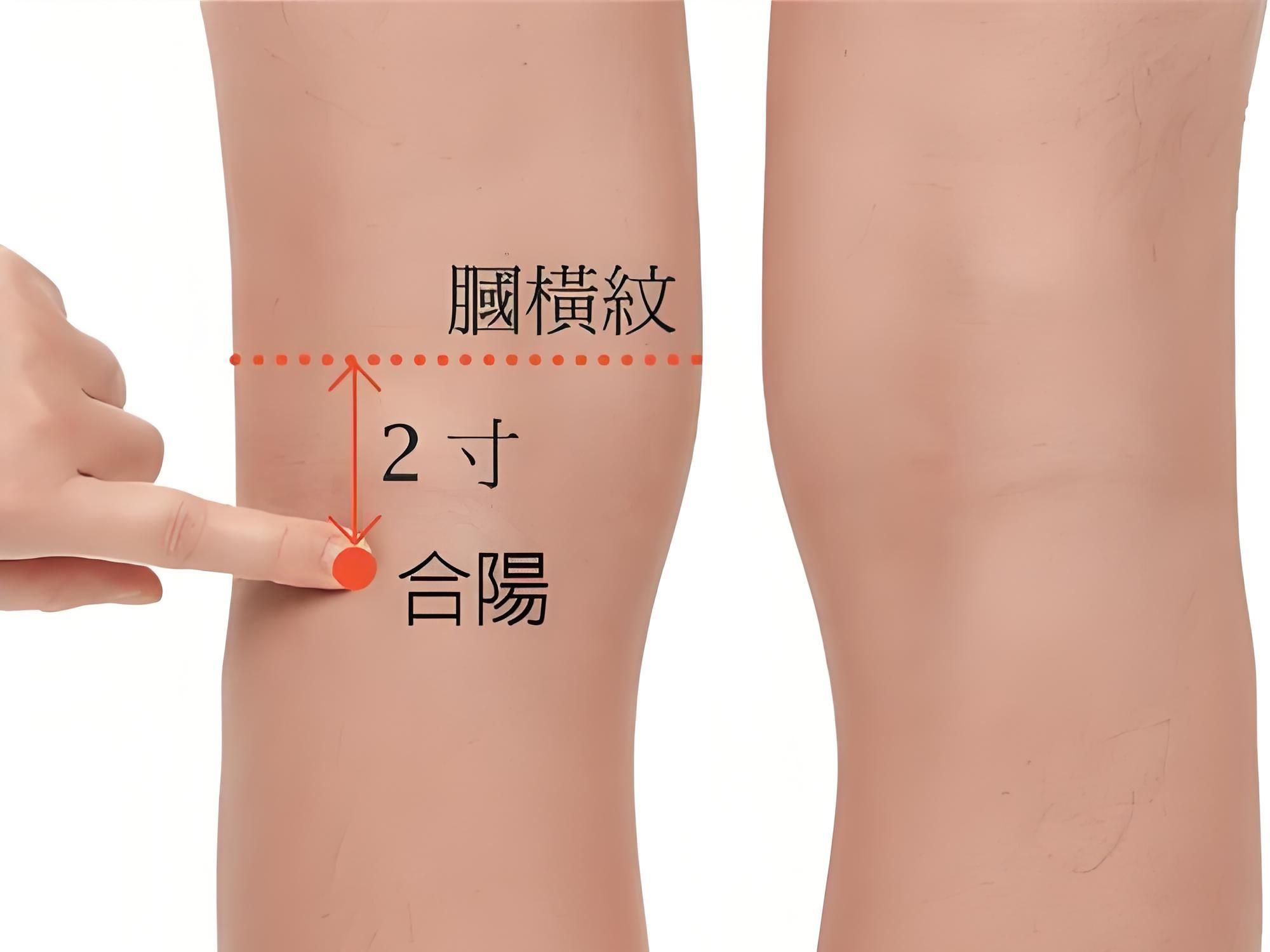 120、足太阳膀胱经 — 合阳穴 — 治疗崩漏