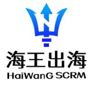 海王带你出海 