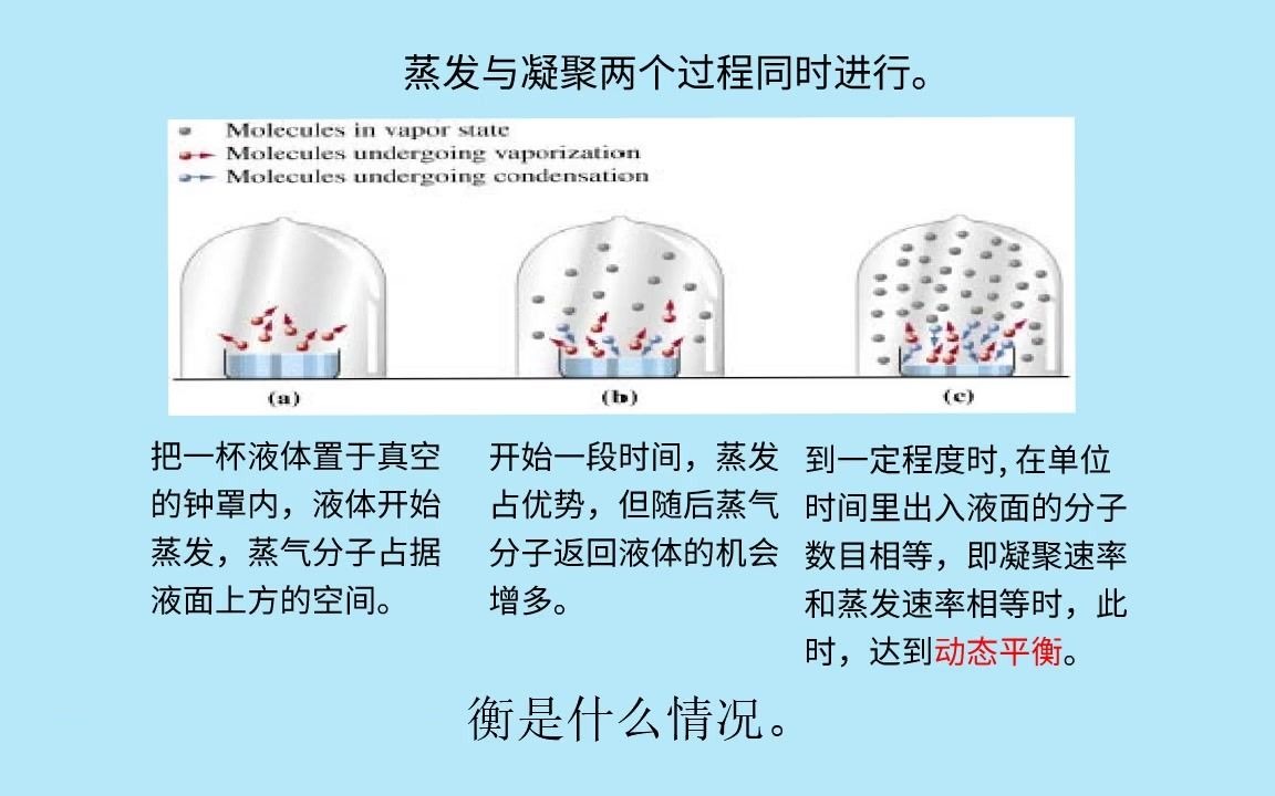 【yf化学微课】蒸气压