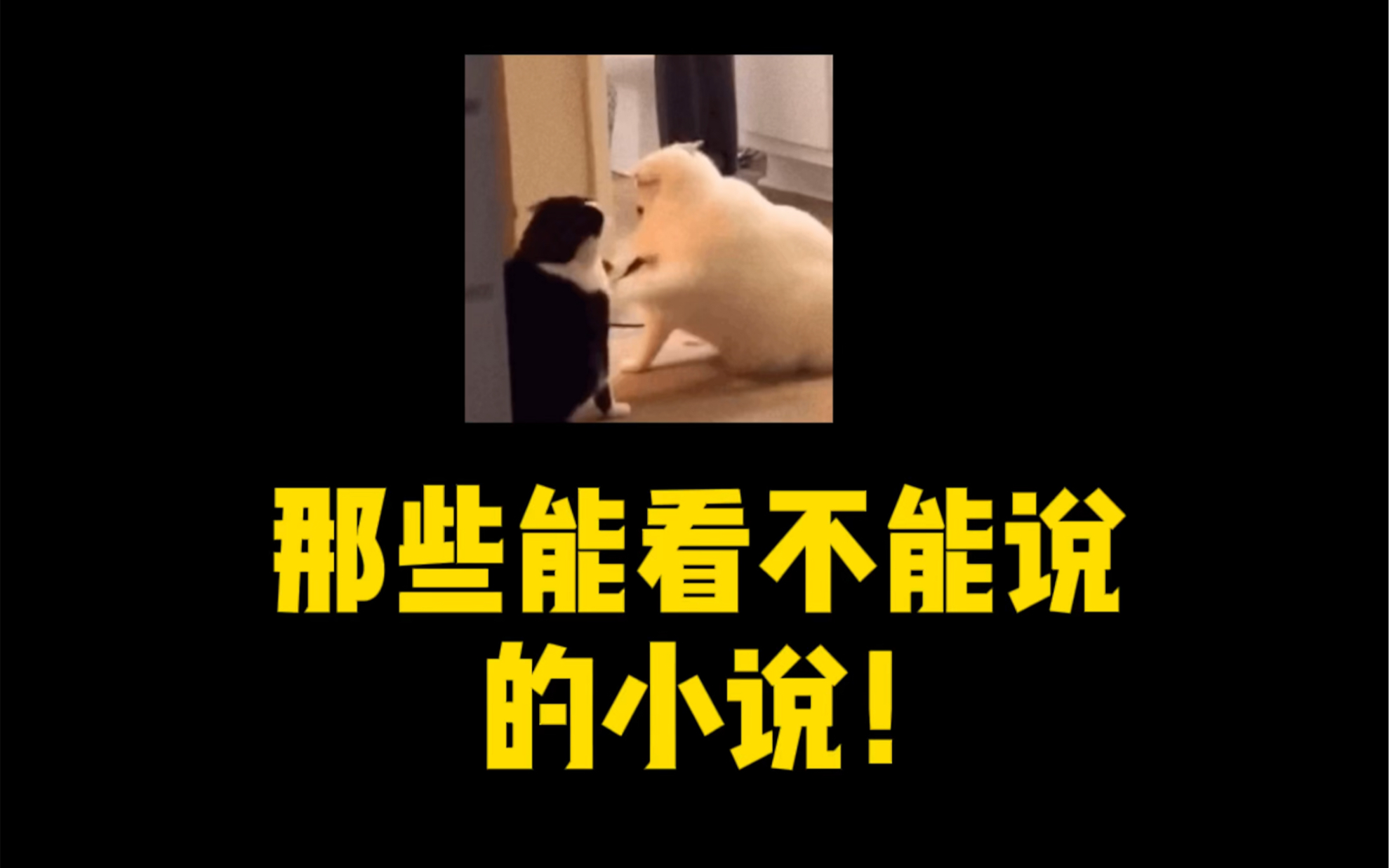 有哪些能看,但是不能说的小说?这几本不但能看,而且能说!