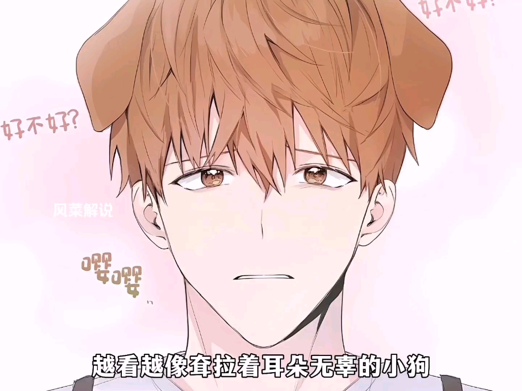 【双男主漫画】3 男人好心被嫌弃多管闲事双男主漫画解说有声国漫...